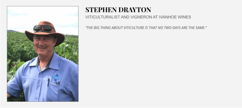 Meet Stephen Drayton – The Heart of Ivanhoe Wines - Ivanhoe Wines